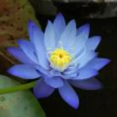 一加社区